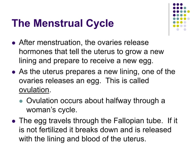 Human Body: The Reproductive System PPT2.ppt