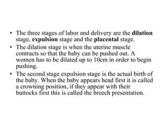 Reproductive systems | PPT