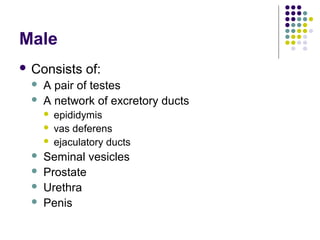 Reproductive systems | PPT