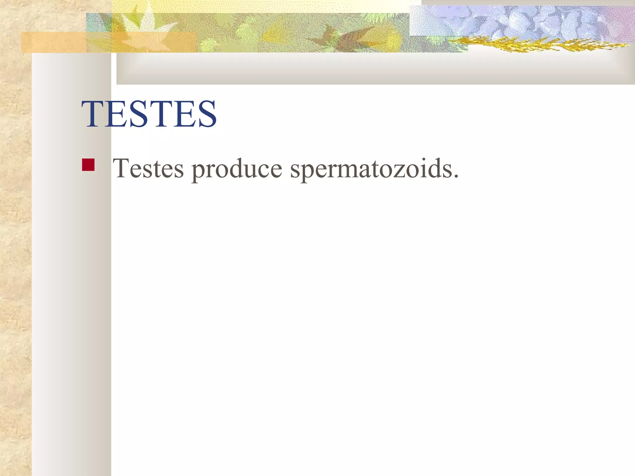 Reproductive systems | PPT