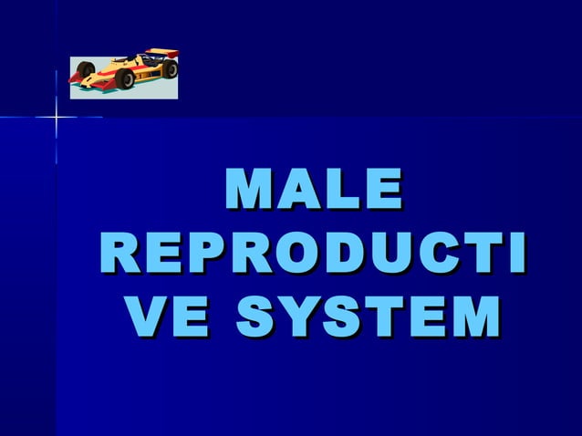 Reproductive systems Science Grade 10 | PPT | Pregnancy | Reproductive ...