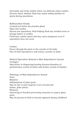 Reproductive SystemsChapter 14Related Combining FormsStr.docx