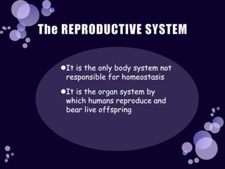 Reproductive system (slide show) | PPSX