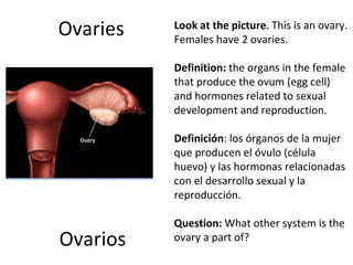 Reproductive systems presentation version 2 | PPT