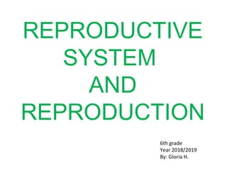 Reproductive system web | PPT