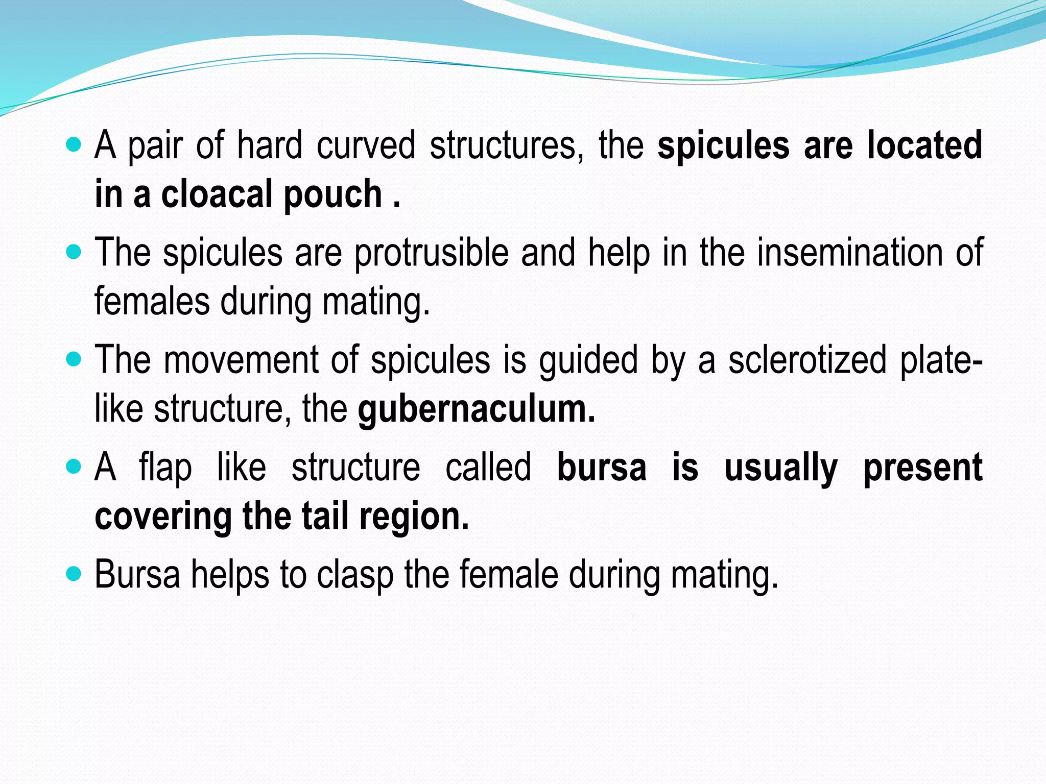 Reproductive system of Nematodes | PPTX