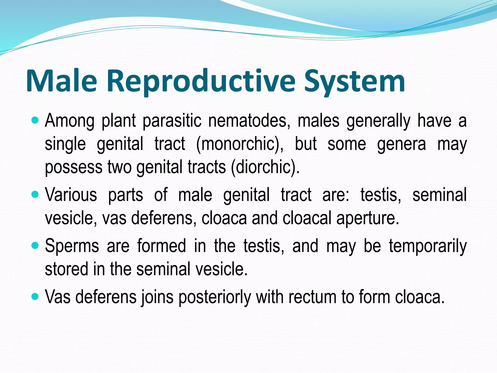 Reproductive system of Nematodes | PPTX