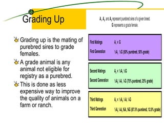 Reproductive technology | PPT