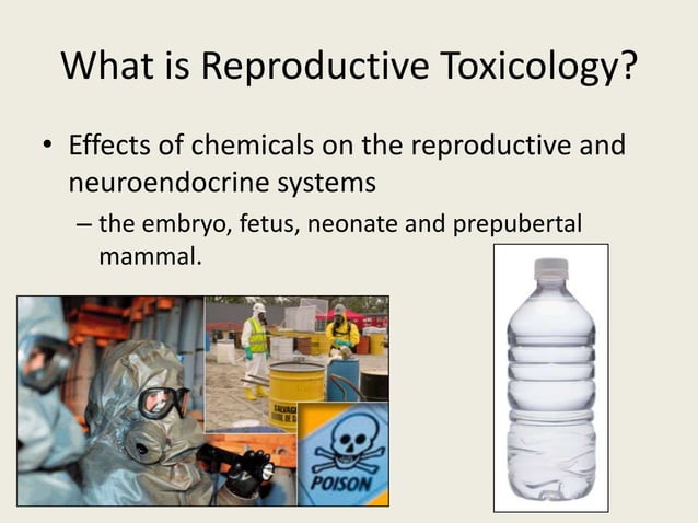 Reproductive Toxicology Ppt