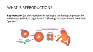 Reproductive toxicology Reproductive Toxins | PPTX