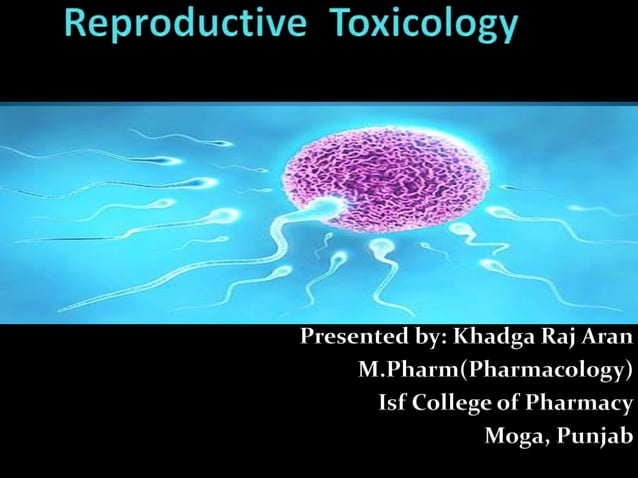 Reproductive toxicology | PPTX