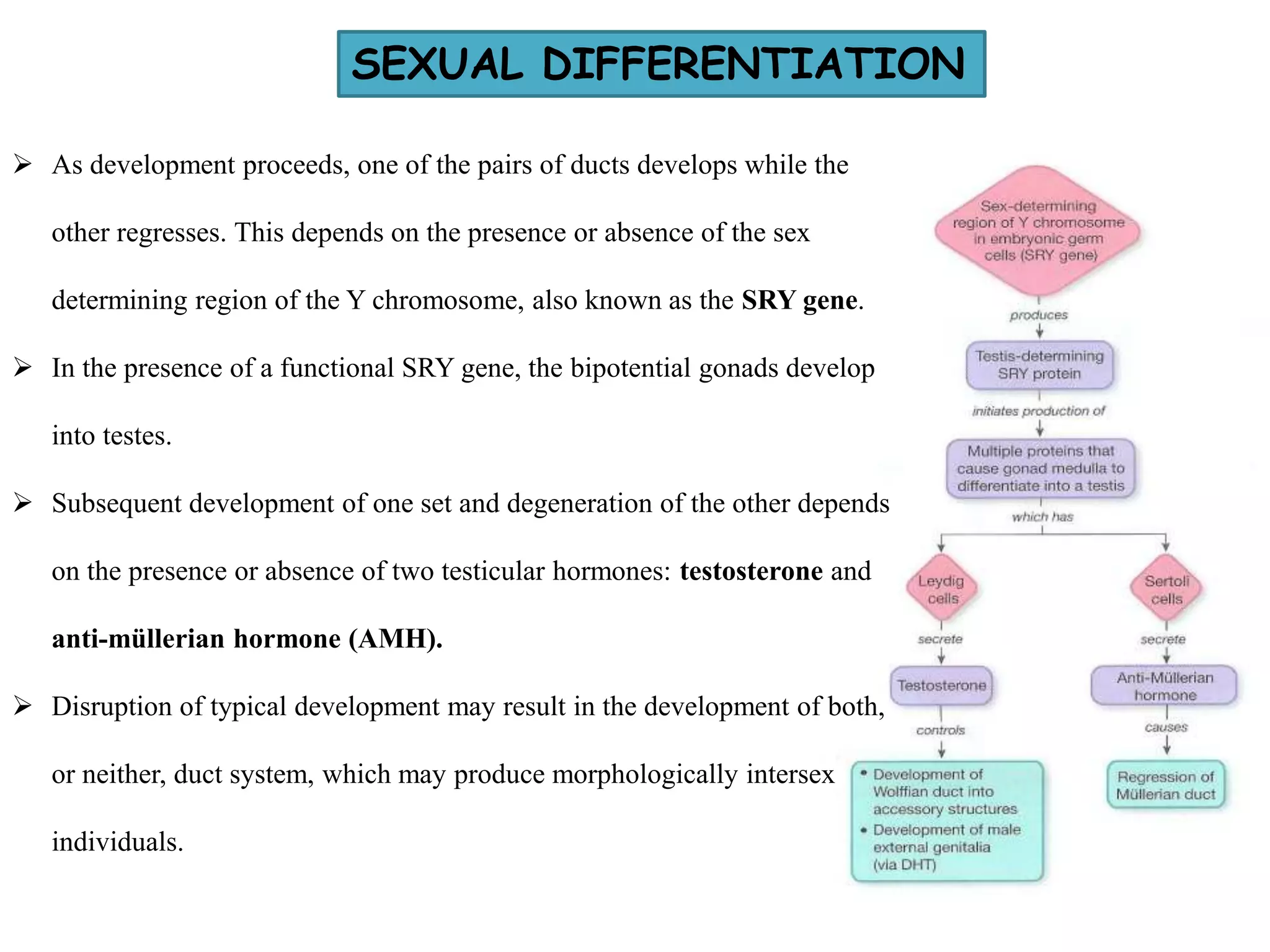 Reproductive toxicology | PPTX