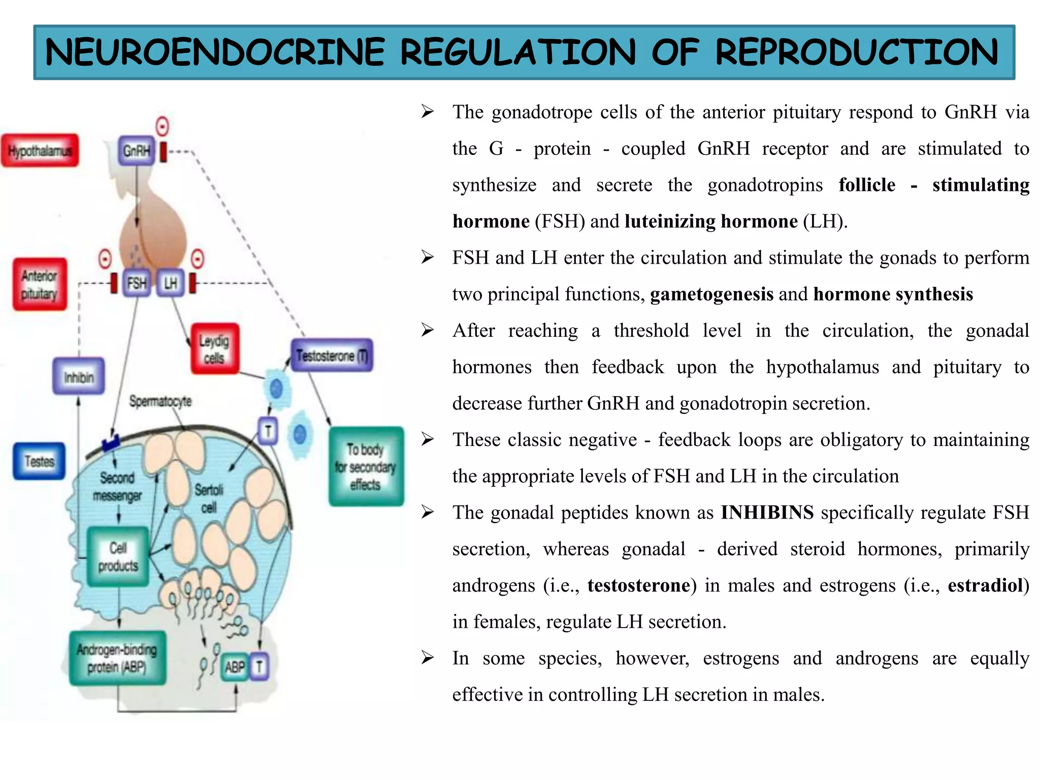 Reproductive toxicology | PPTX