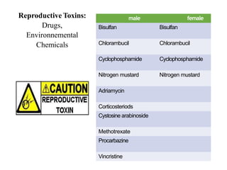 Reproductive toxicology | PPTX
