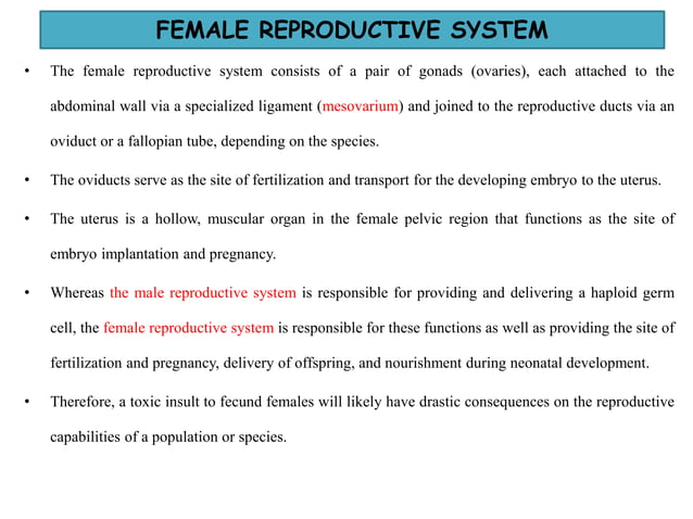 Reproductive toxicology | PPTX