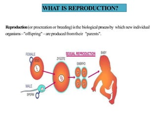 Reproductive toxicology | PPTX