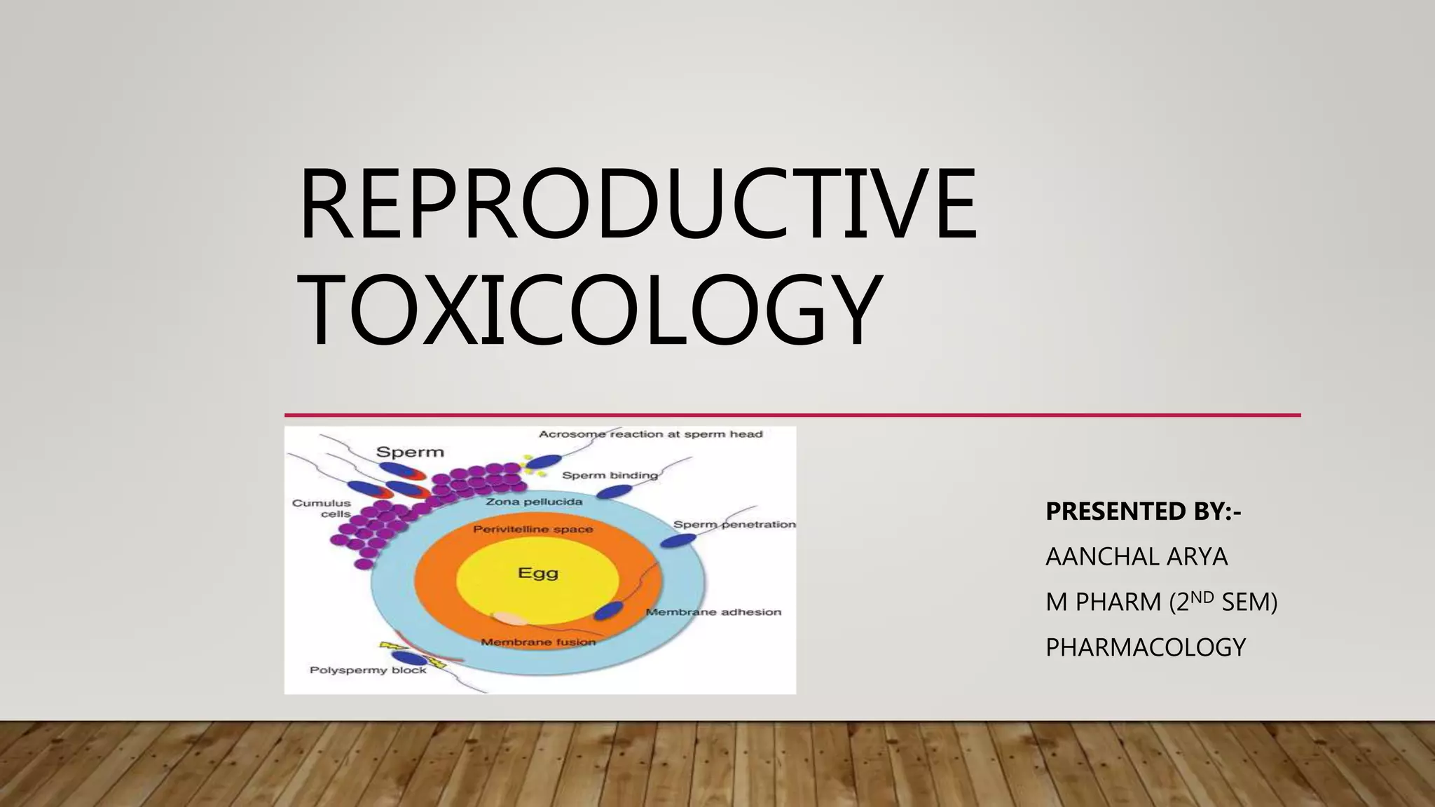 Reproductive toxicology | PPTX