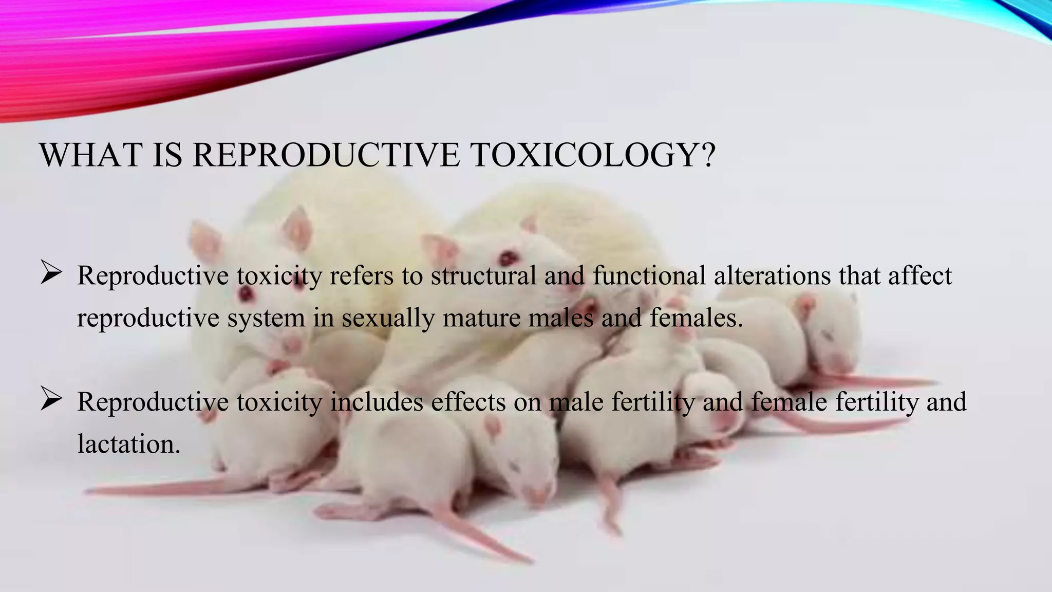 Reproductive toxicology studies ACCORDING TO OECD guidlines 422 | PPTX
