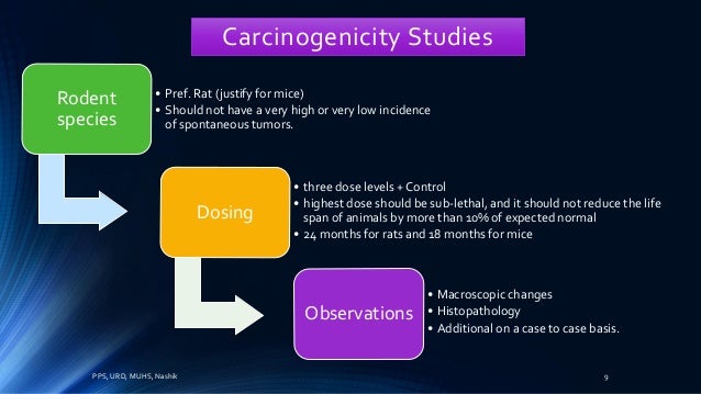 Reproductive toxicology testing | PPT