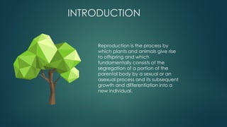 Reproducton in forest trees. | PDF