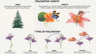 Reproducton in forest trees. | PDF