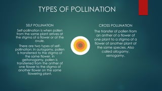 Reproducton in forest trees. | PDF