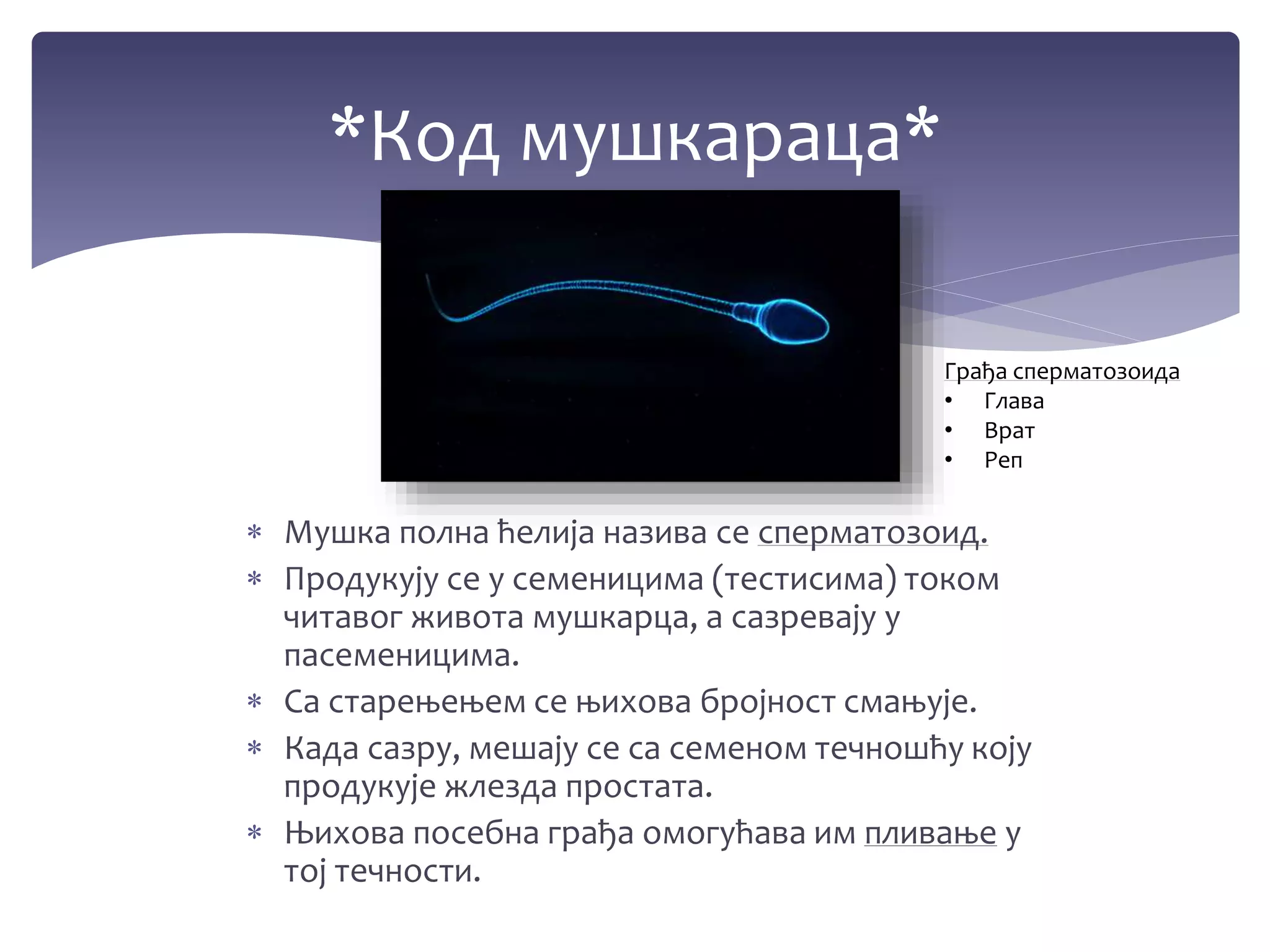 Reprodukcija | PPT