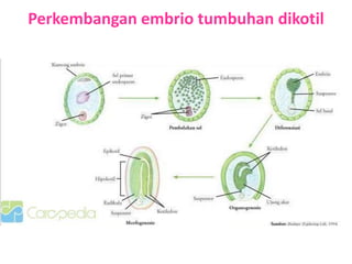 Reproduksi Tanaman - Tugas Dasar Ilmu Tanaman | PPTX