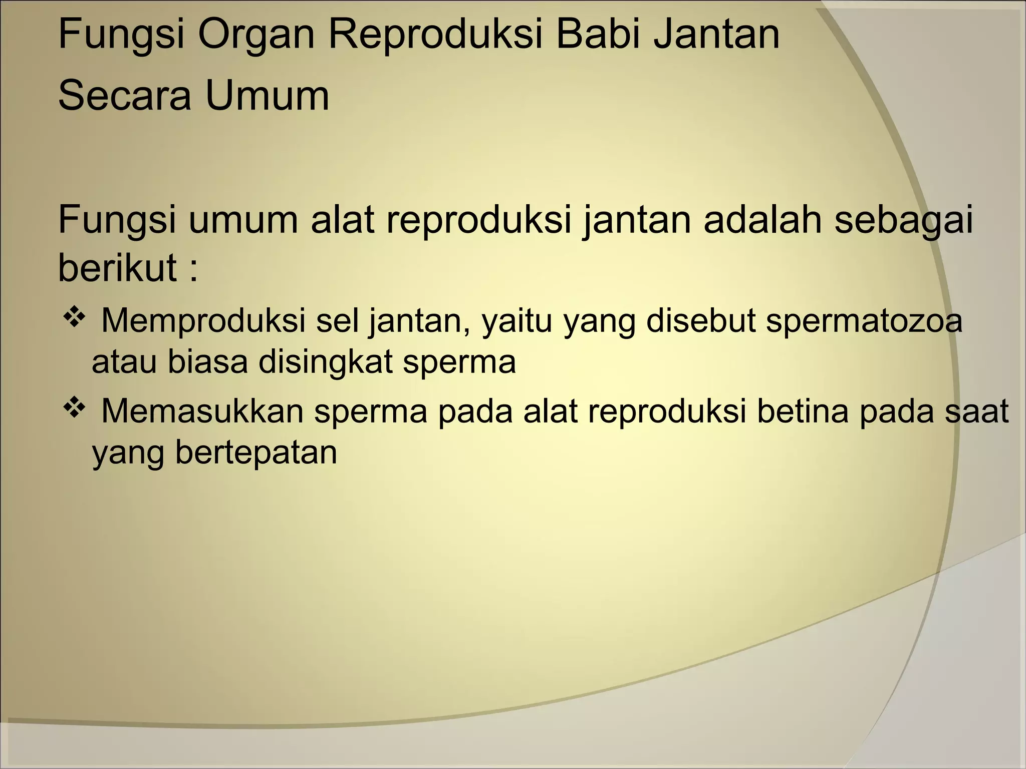Reproduksi babi jantann 2 | PPT