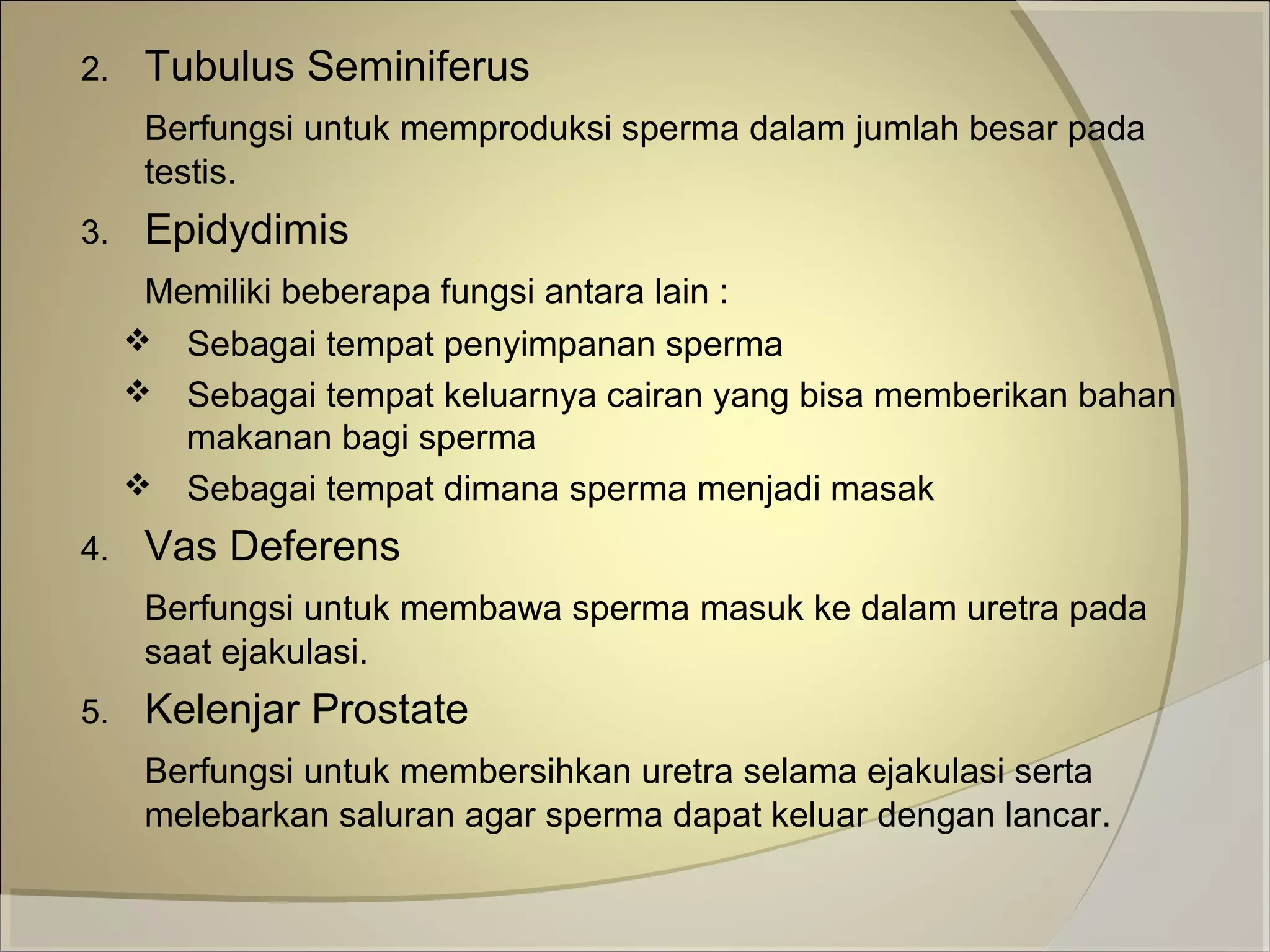 Reproduksi babi jantann 2 | PPT