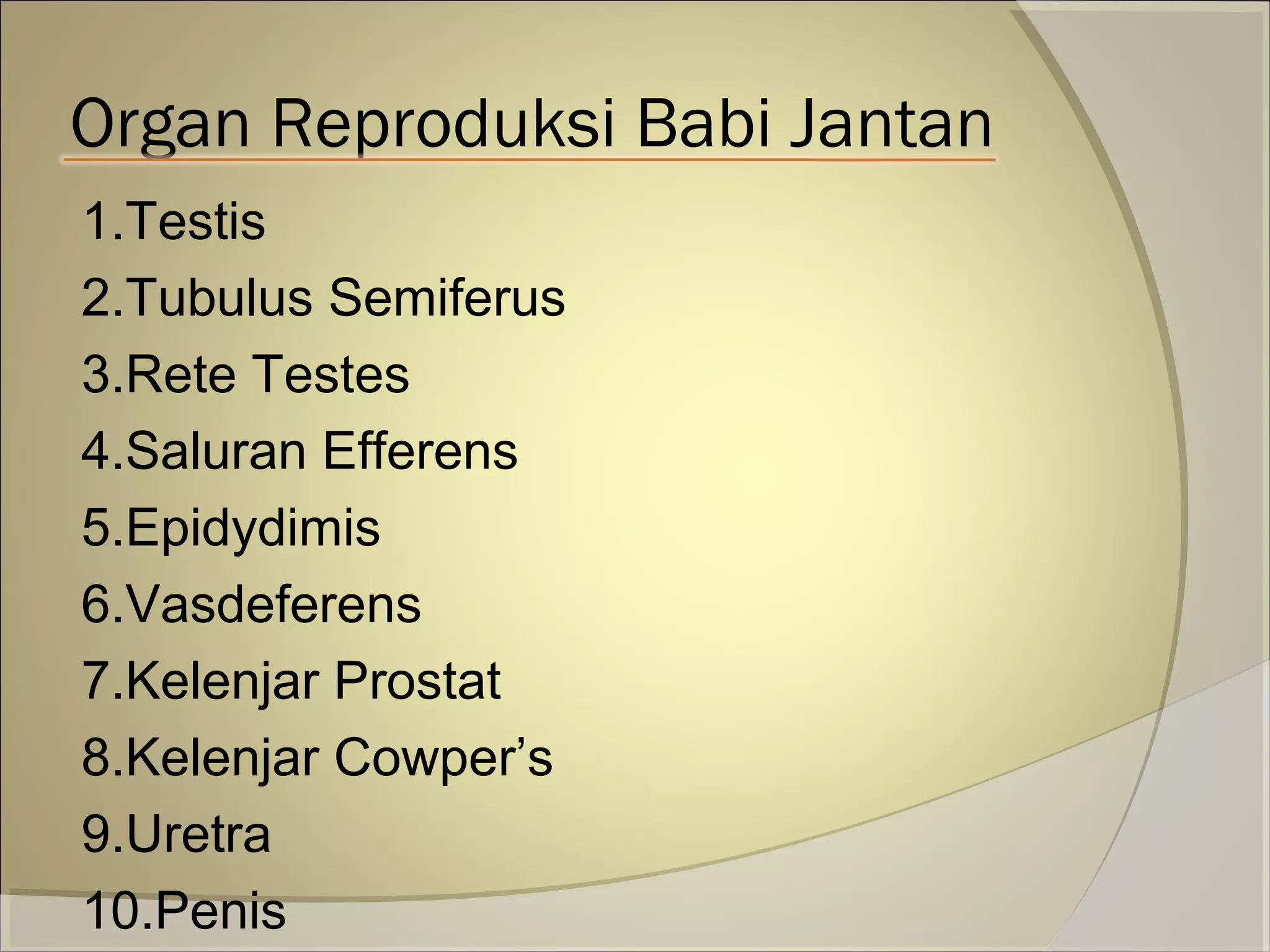 Reproduksi babi jantann 2 | PPT