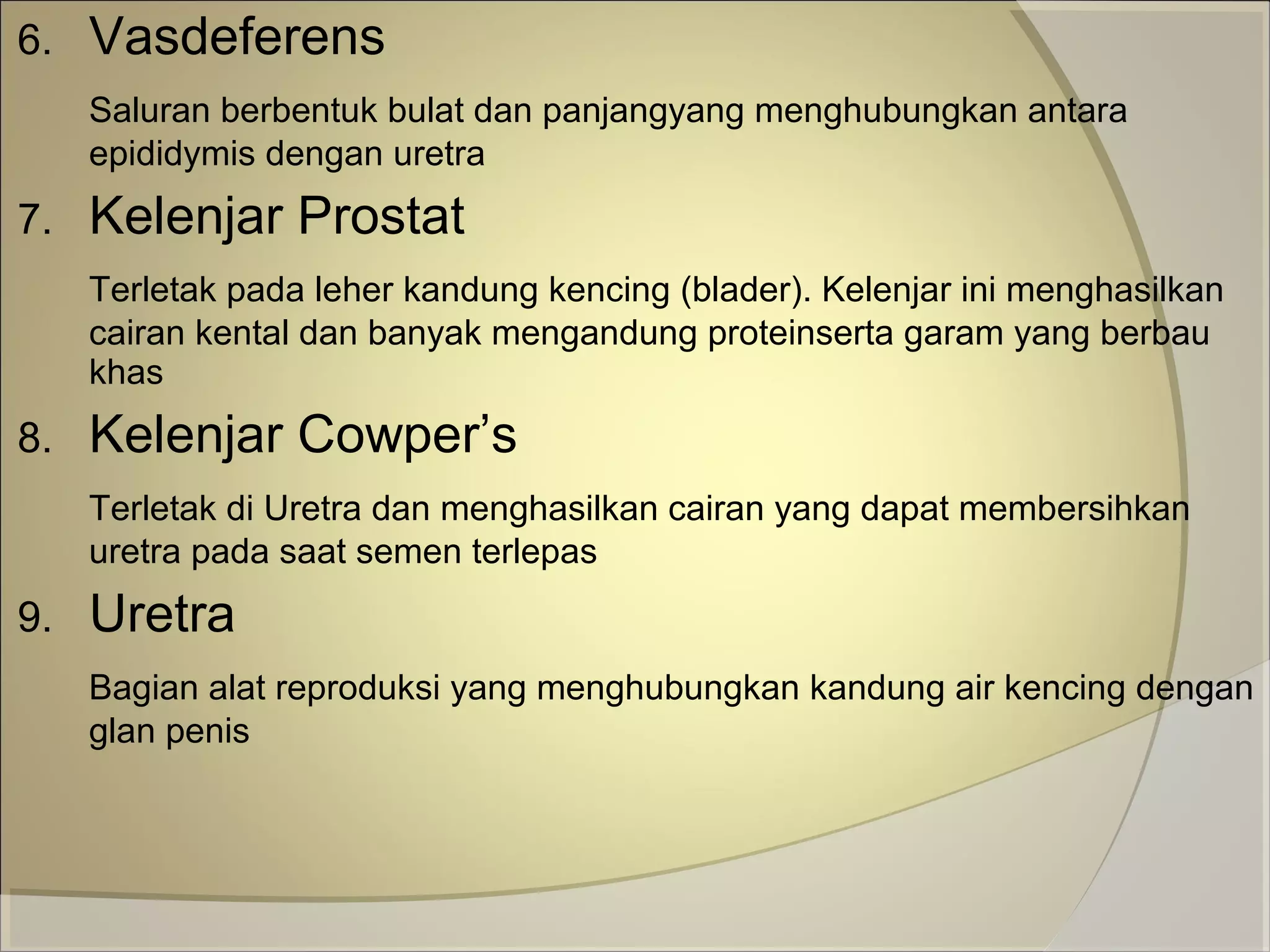 Reproduksi babi jantann 2 | PPT