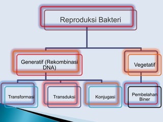 Reproduksi bakteri | PPTX