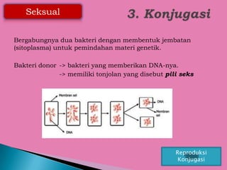 Reproduksi bakteri | PPT