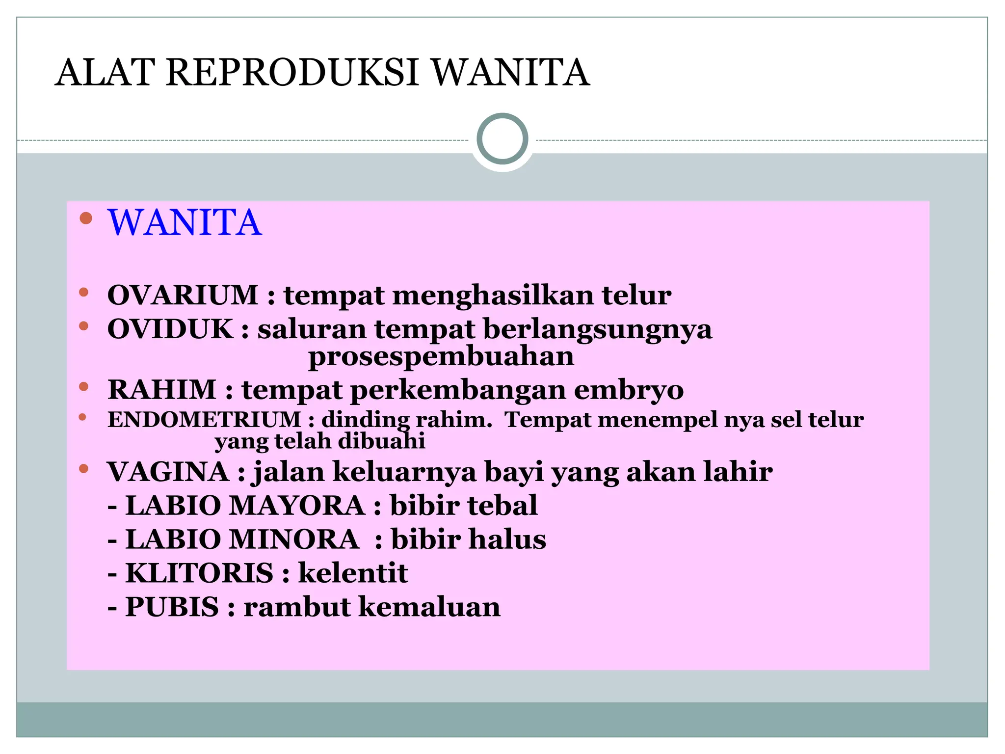 reproduksi pada manusia dan penyakitnya.ppt