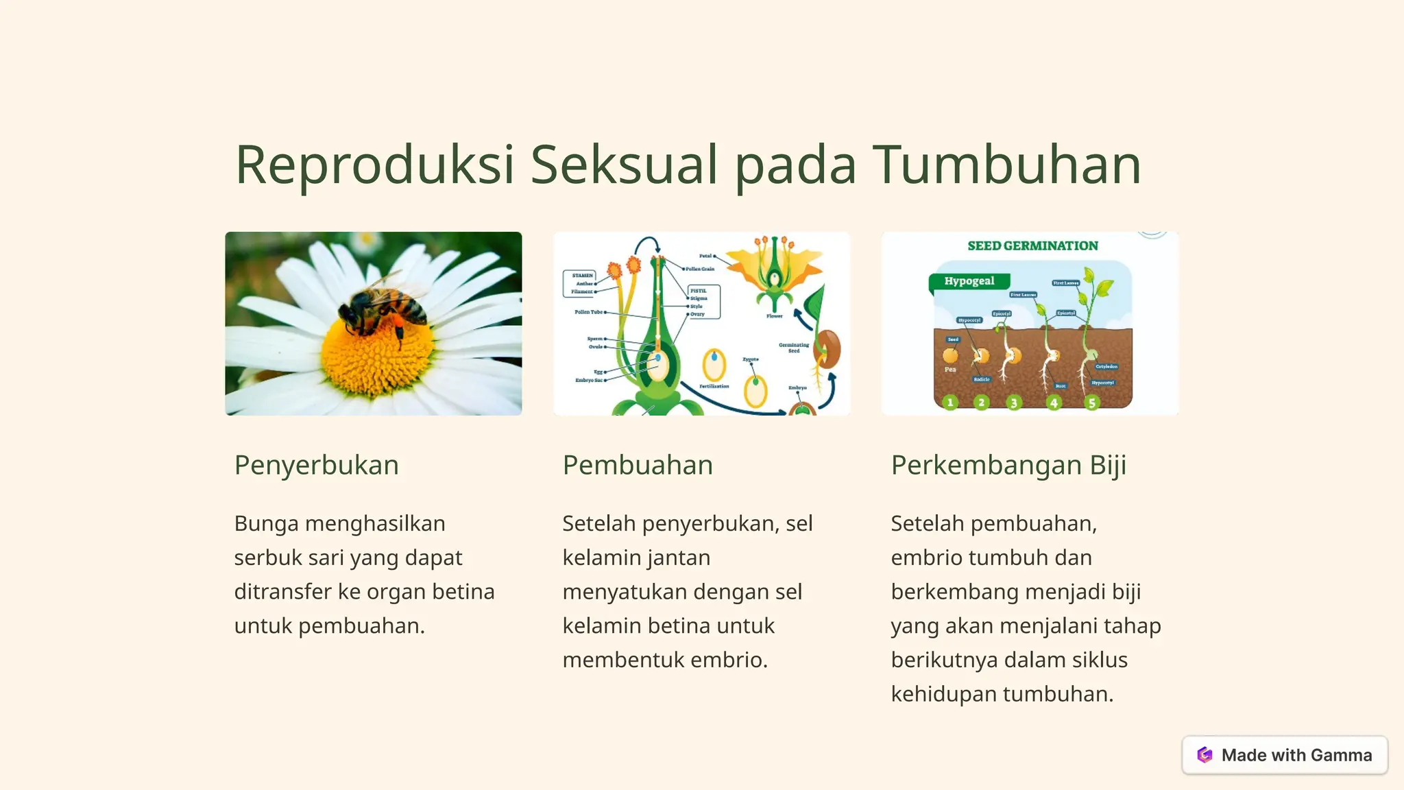 Reproduksi pada Tumbuhan dikotil dan Monokotil.pptx