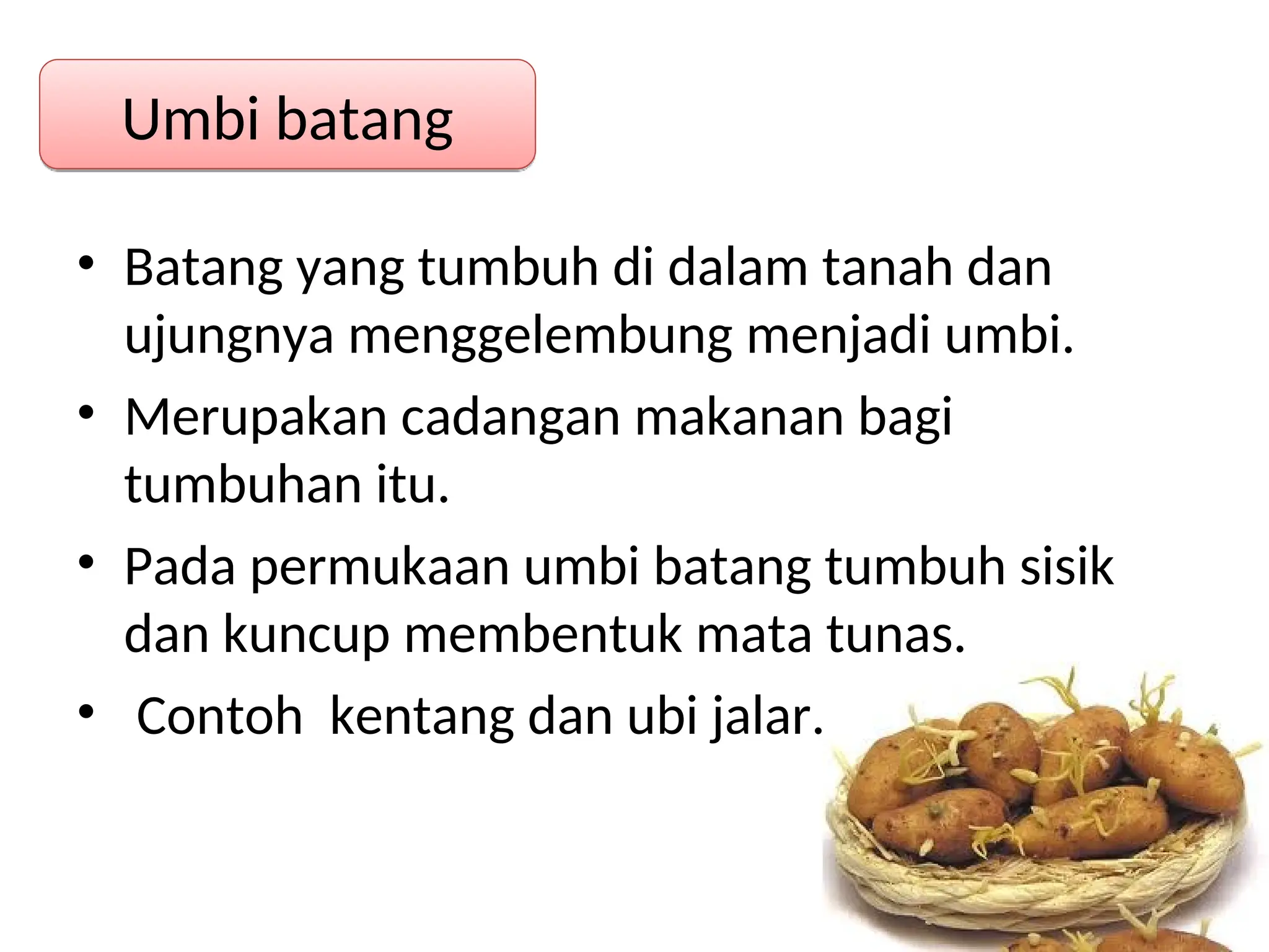 reproduksi-vegetatif-alami pada tumbuhan.ppt