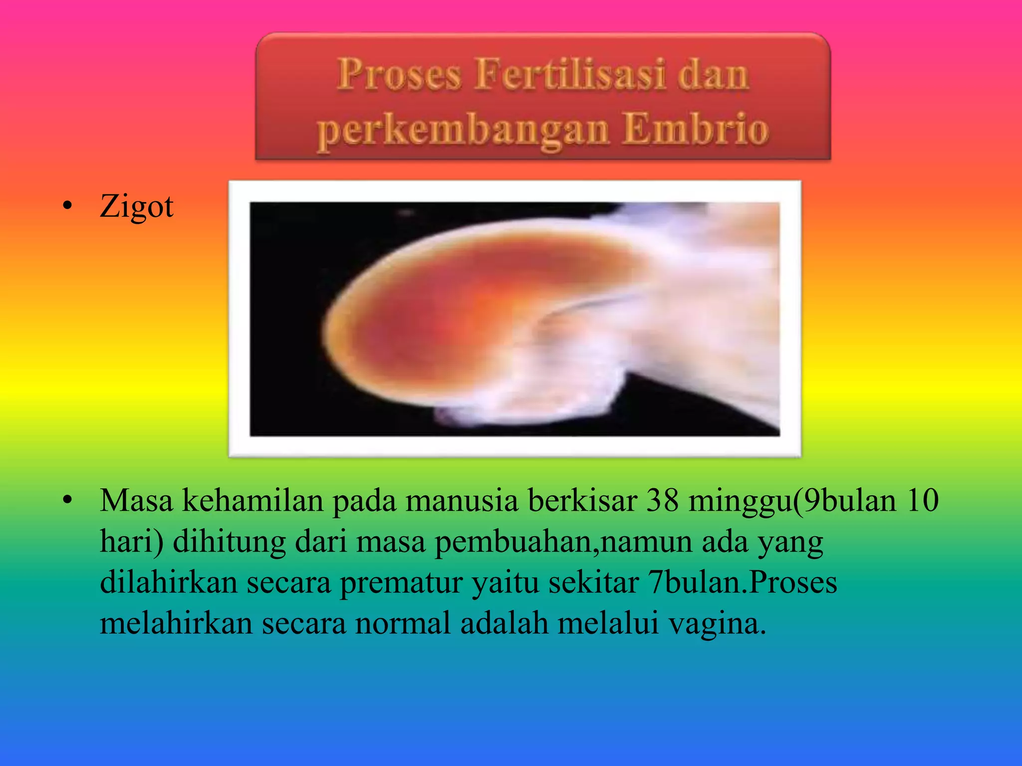 Sistem Reproduksi Manusia | PPTX