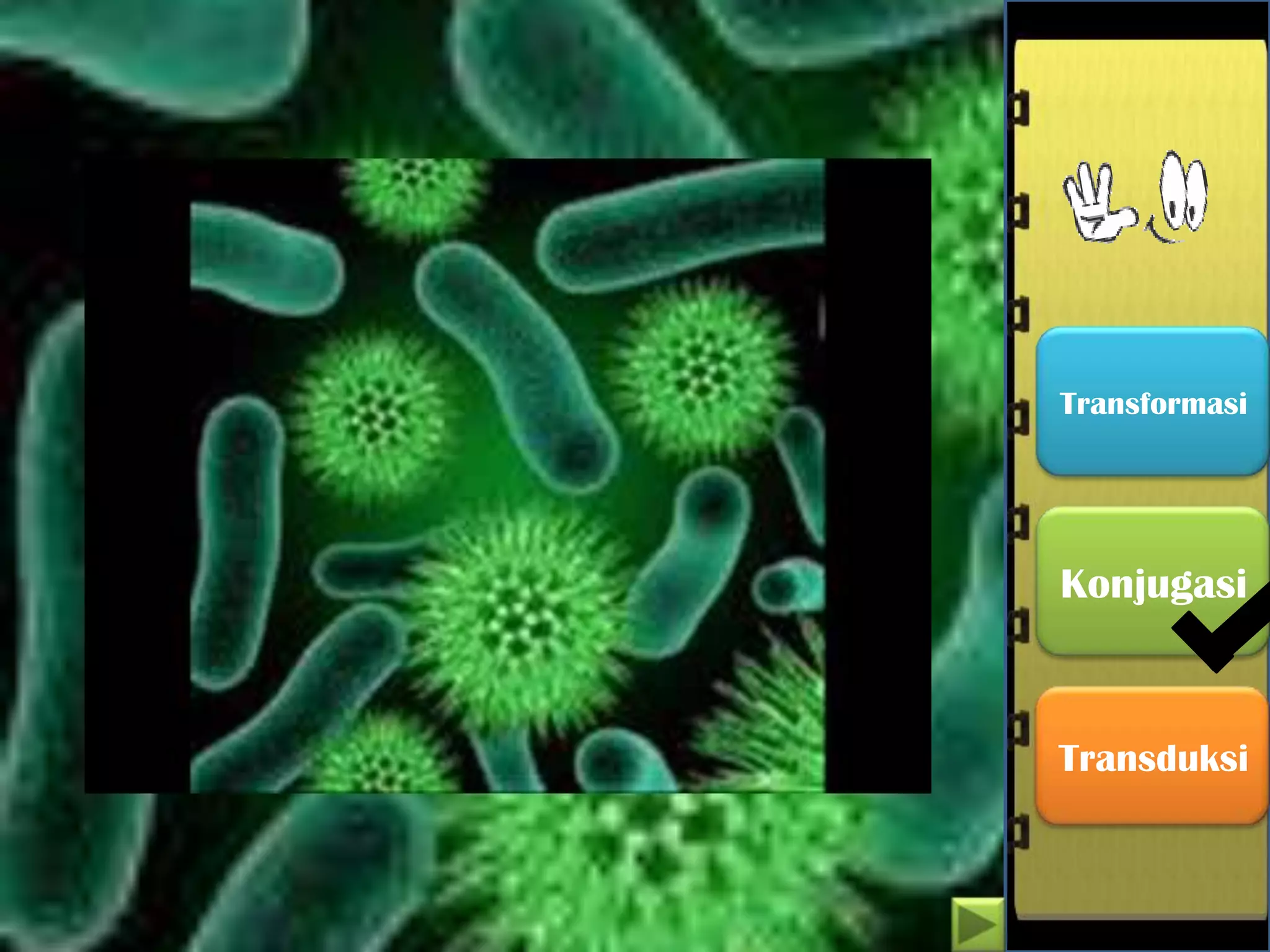 Reproduksi Bakteri | PPTX