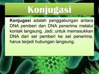 Reproduksi Bakteri | PPTX