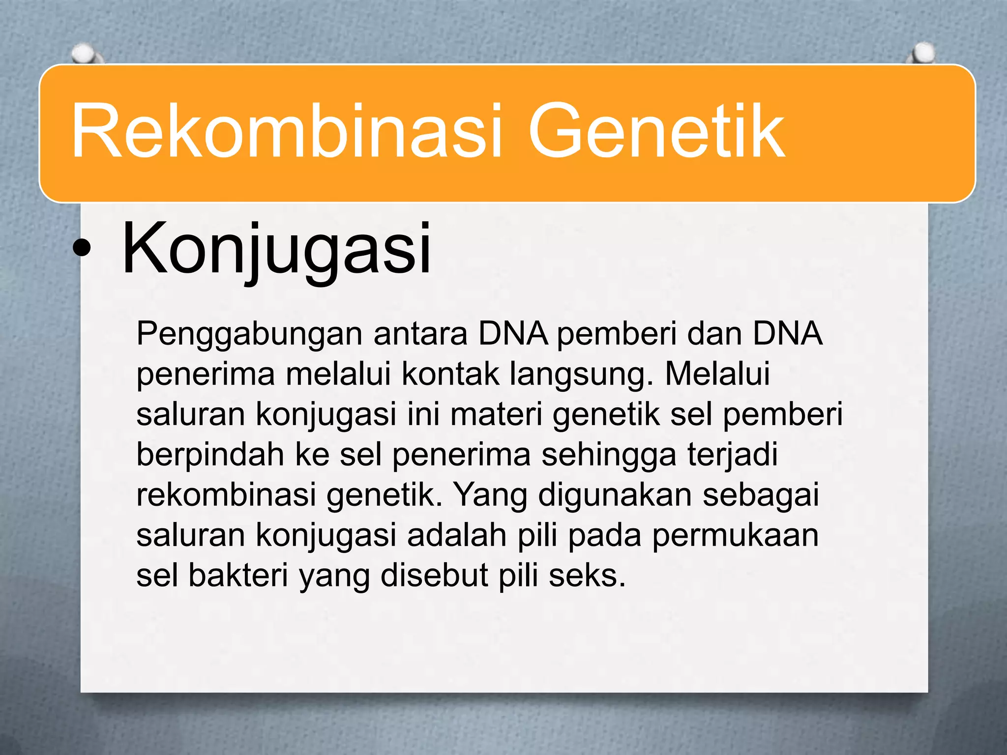 Reproduksi bakteri | PPTX