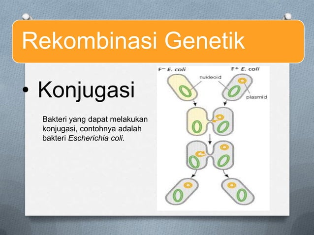 Reproduksi bakteri | PPTX