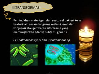 Reproduksi bakteri | PPTX