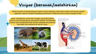 Reproduksi Hewan Biologi kelas 9 dan 11df | PDF