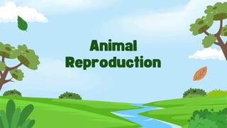 Reproduksi Hewan Biologi kelas 9 dan 11df | PDF