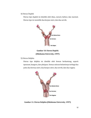 Reproduksi Hewan 1 | PDF