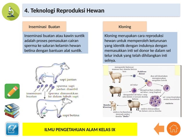 pelajaran Reproduksi hewan dan tumbuhan.PPTX