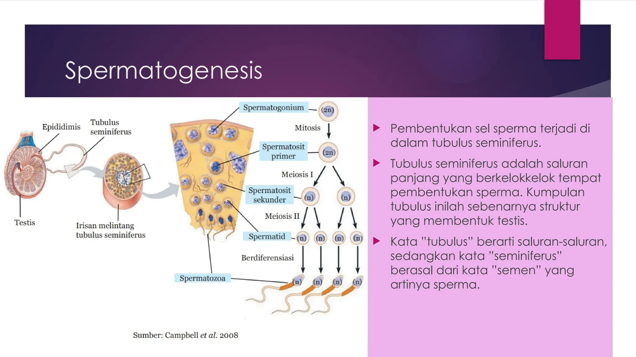MATERI IPA KELAS 9 REPRODUKSI MANUSIA.pptx