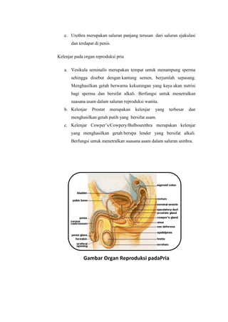 Reproduksi pada hewan vertebrata | PDF