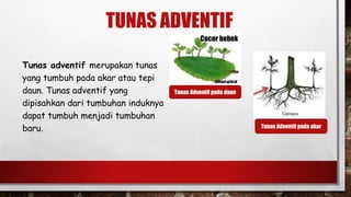 Reproduksi pada tumbuhan | PPTX